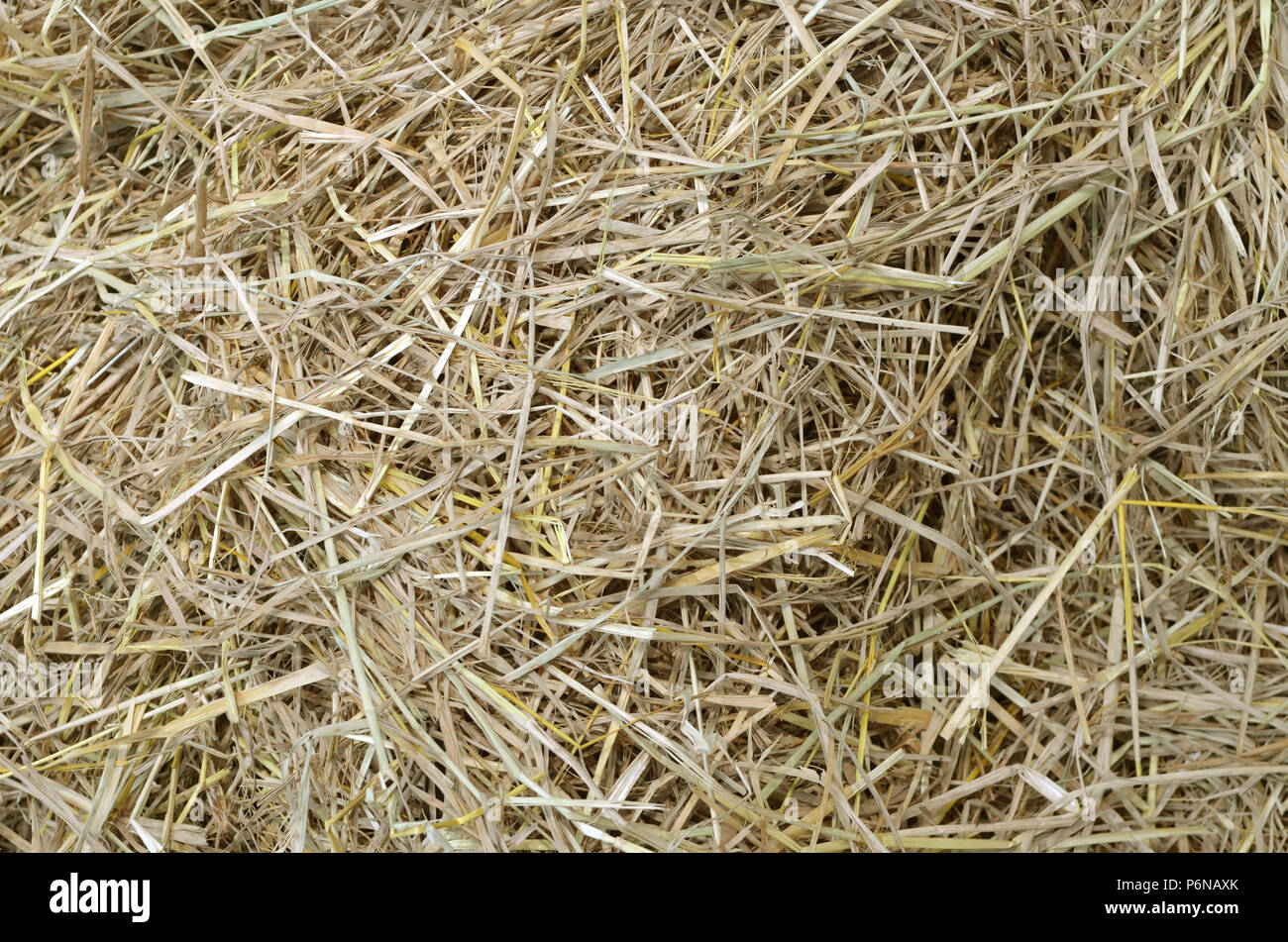 Straw wisp hi-res stock photography and images - Alamy
