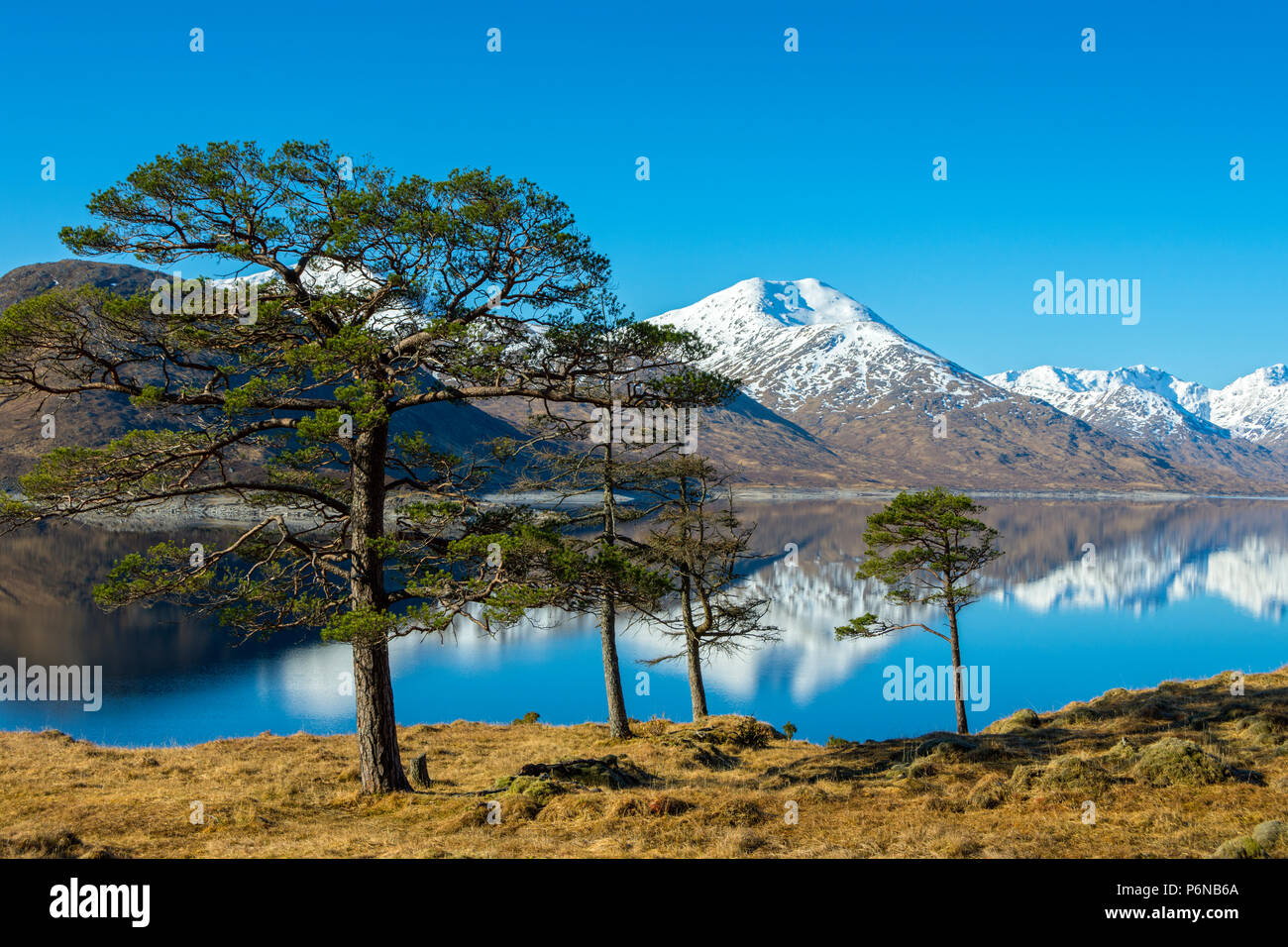 Sgùrr Mòr over Loch Quoich (Loch Chuaich), Glen Garry, Highland Region ...