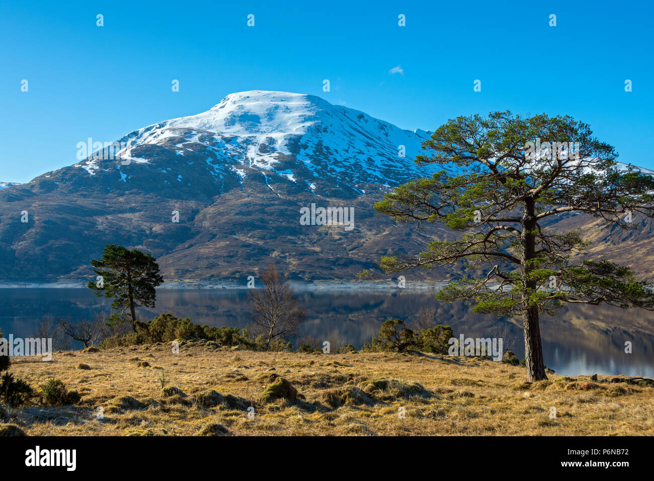 Loch quoich winter hi-res stock photography and images - Alamy