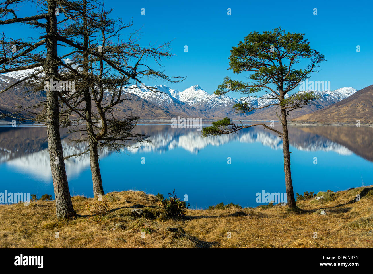 Sgùrr na Ciche and the mountains of Knoydart over Loch Quoich (Loch ...