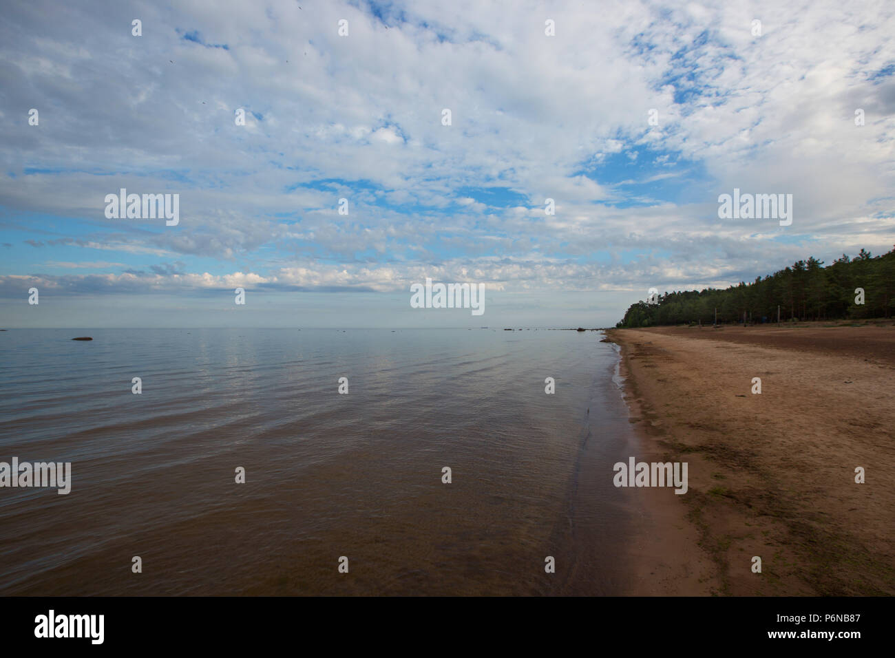 Baltic sea, Gulf of Finland. Summer view on sand beach and dramatic sky ...