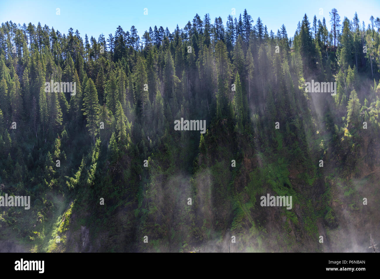 Fine mist over the Yellowstone River Stock Photo - Alamy