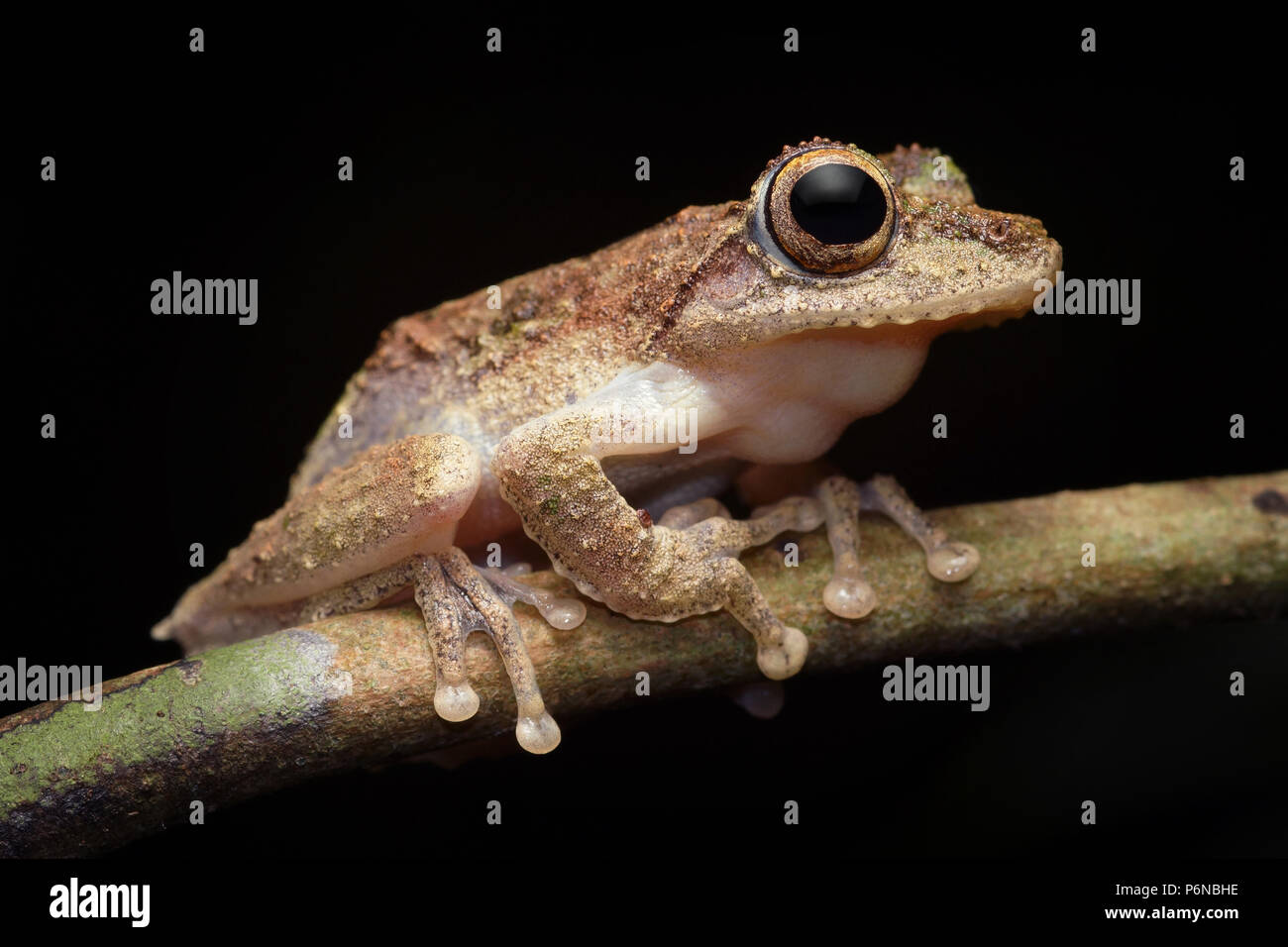 India and brunei hi-res stock photography and images - Alamy