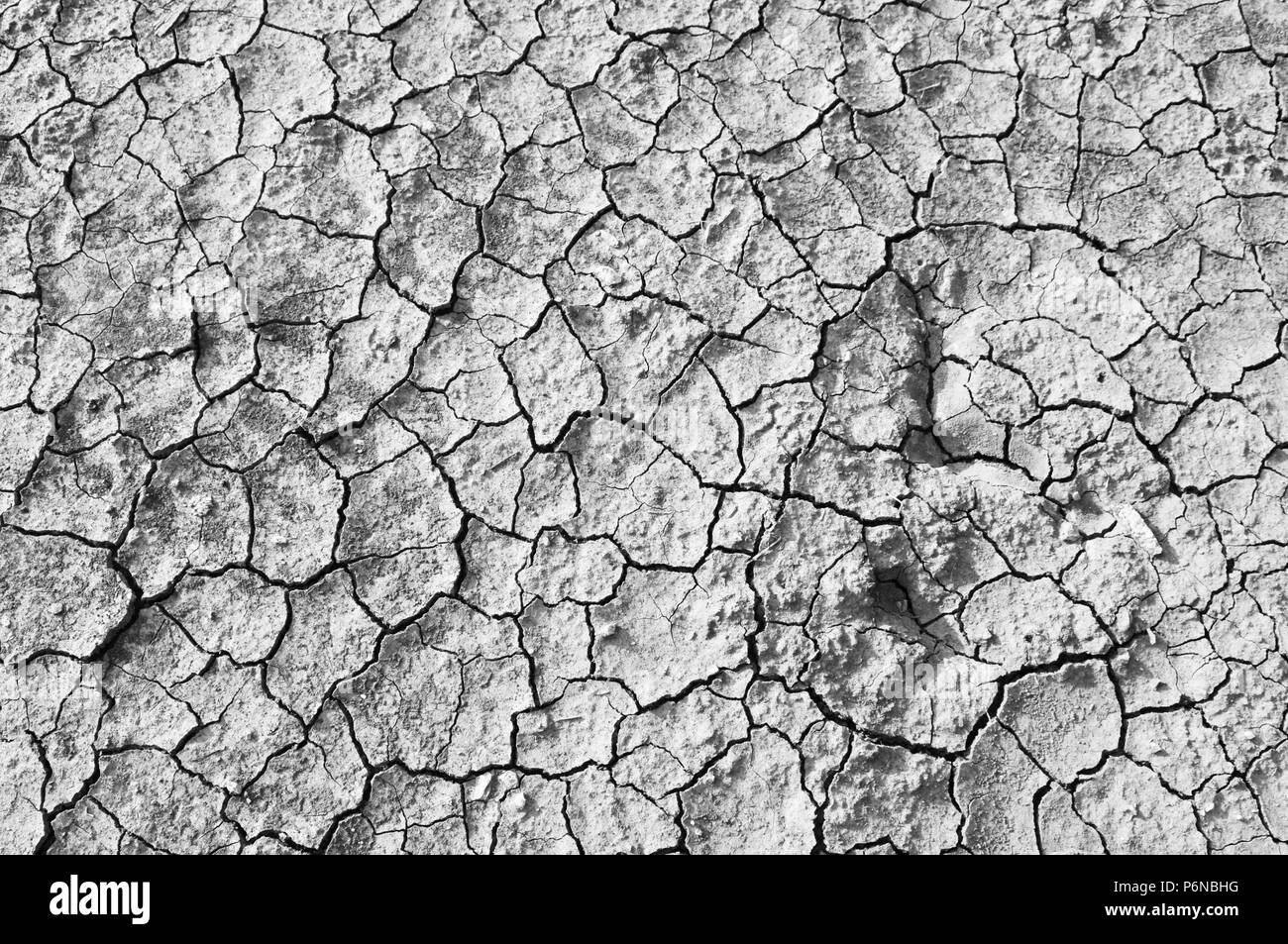 details of Dry cracked soil Stock Photo - Alamy