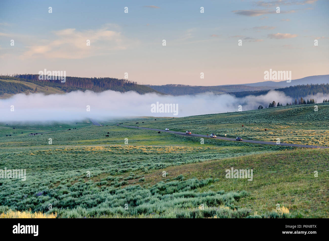 Mist over Hayden Valley Stock Photo - Alamy