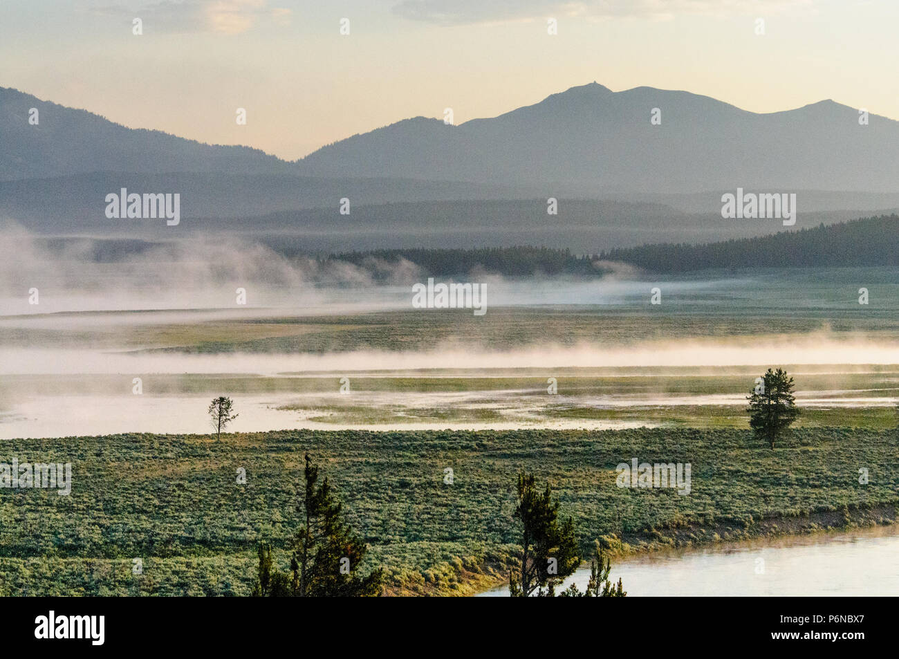 Mist over Hayden Valley Stock Photo - Alamy