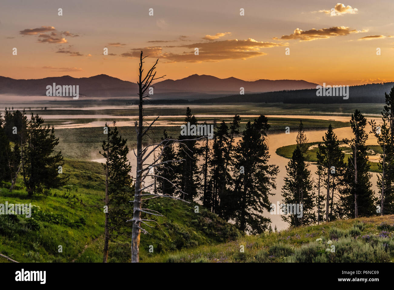 Sunrise at Hayden Valley Stock Photo - Alamy