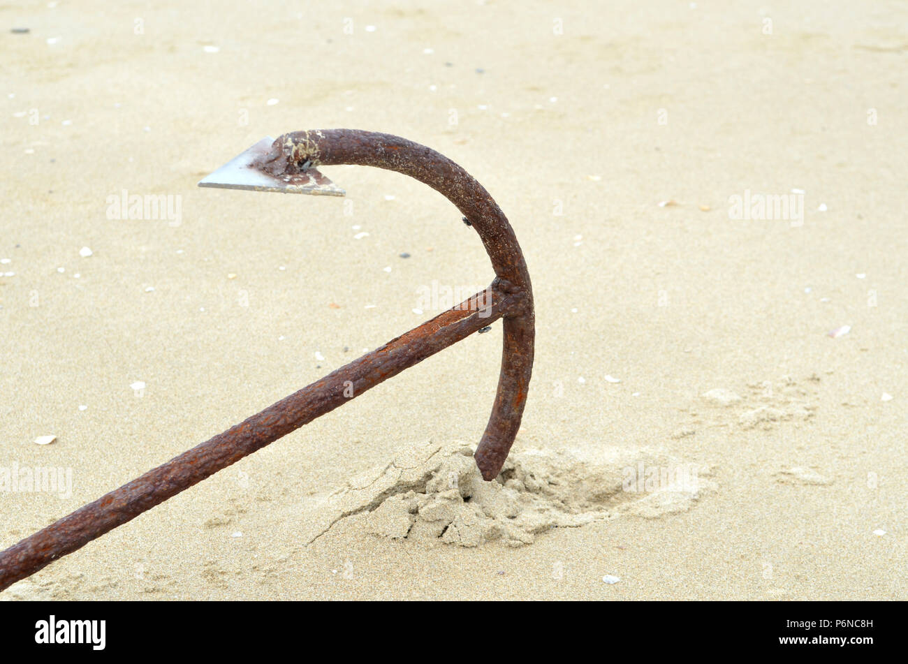 the big anchor on the sand beach Stock Photo - Alamy