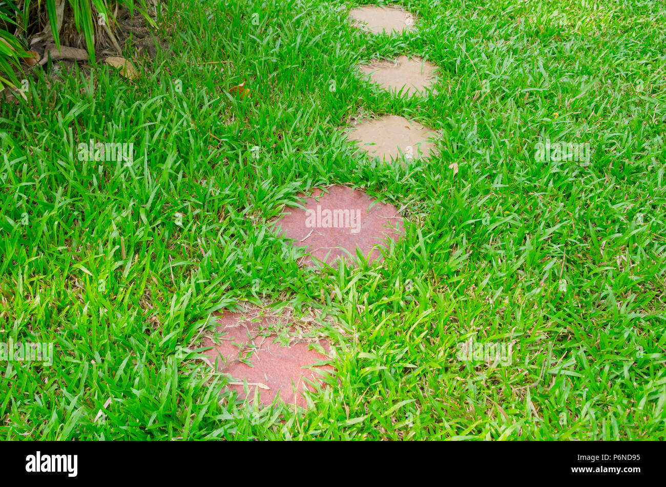 Stone way in a Lush Green Park Stock Photo - Alamy