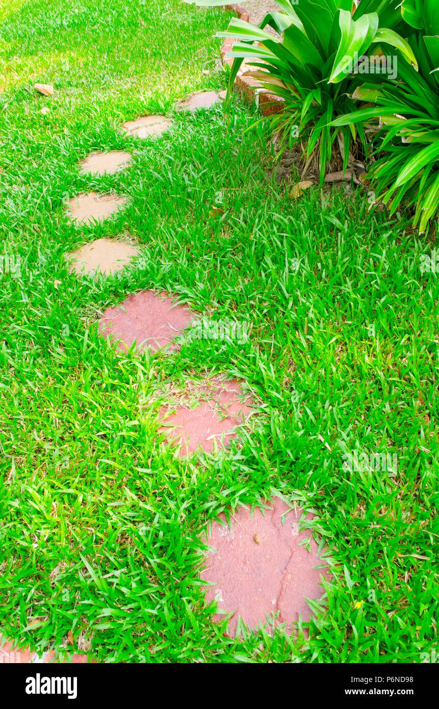 Stone way in a Lush Green Park Stock Photo - Alamy