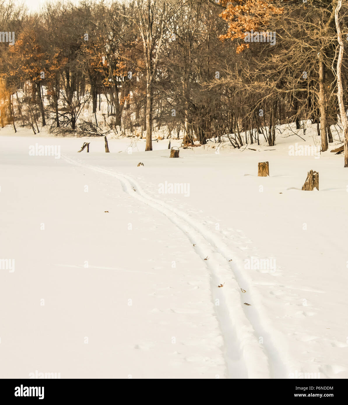 Photo of snow hi-res stock photography and images - Alamy