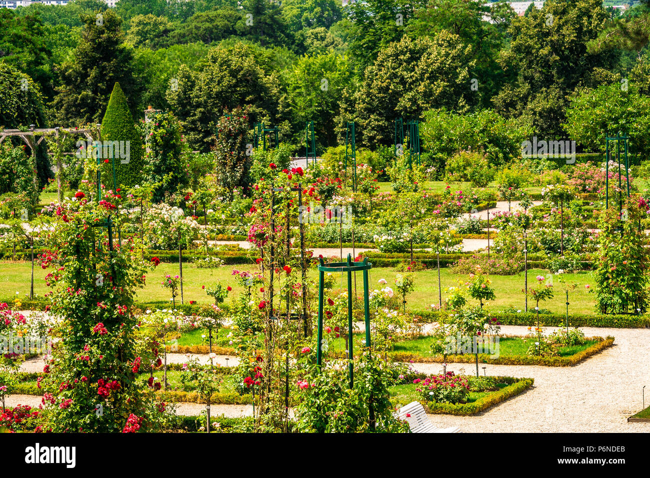 The spectacular Rose Garden within Parc de Bagatelle in Paris, France ...