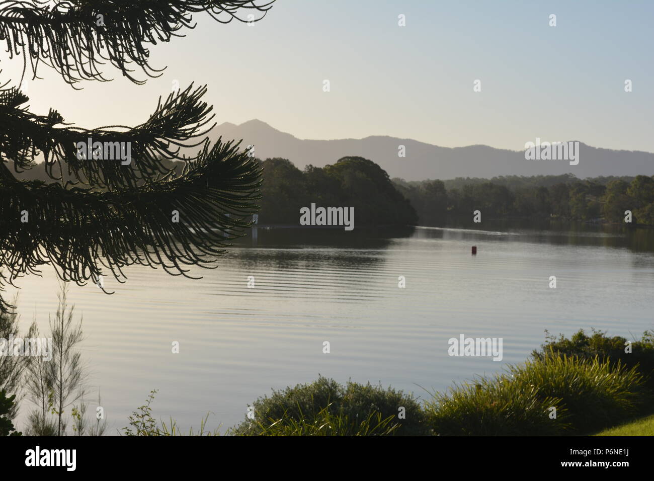 Bellinger river australia hi-res stock photography and images - Alamy