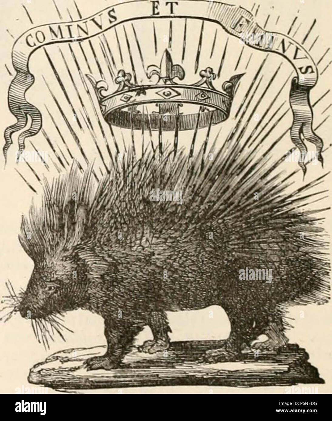 An illustrated dictionary of words used in art and archaeology ...