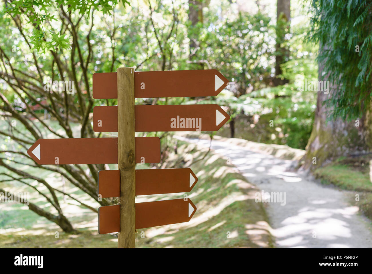 Wooden track pointer in the forests. Pointer on a path in the forest ...