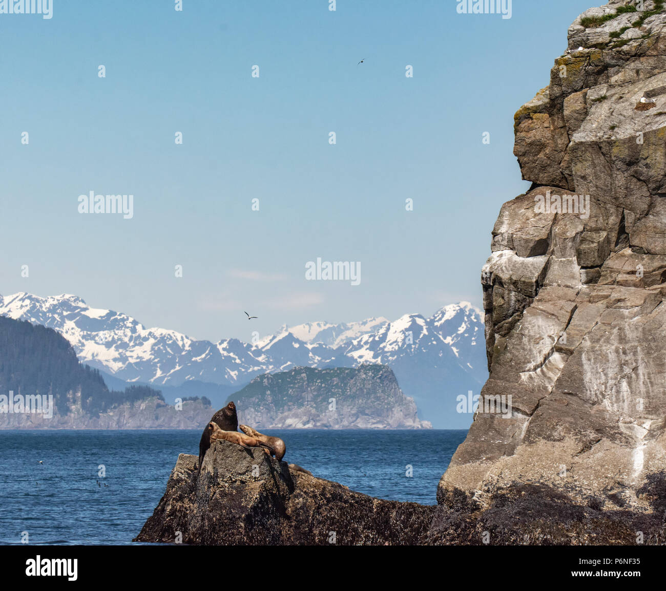 Ocean outcropping hi-res stock photography and images - Alamy