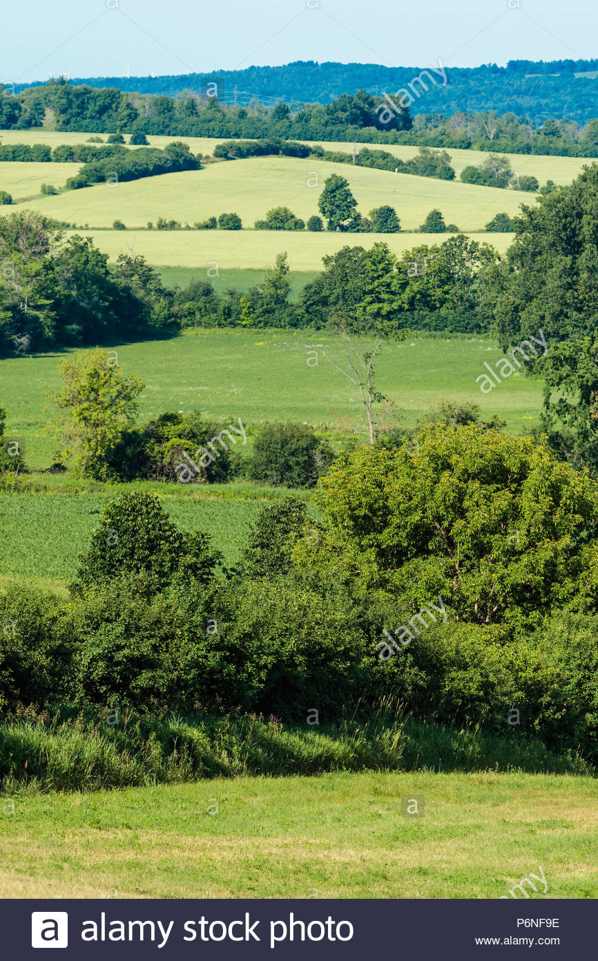 Hedgerow Farm Stock Photos & Hedgerow Farm Stock Images - Alamy