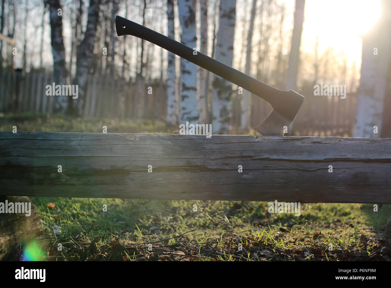 various objects of the spring season in the best of this wonderful ...