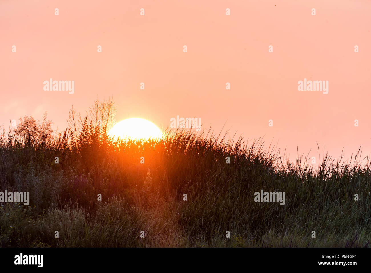 Horizon line of countryside with sun setting Stock Photo - Alamy