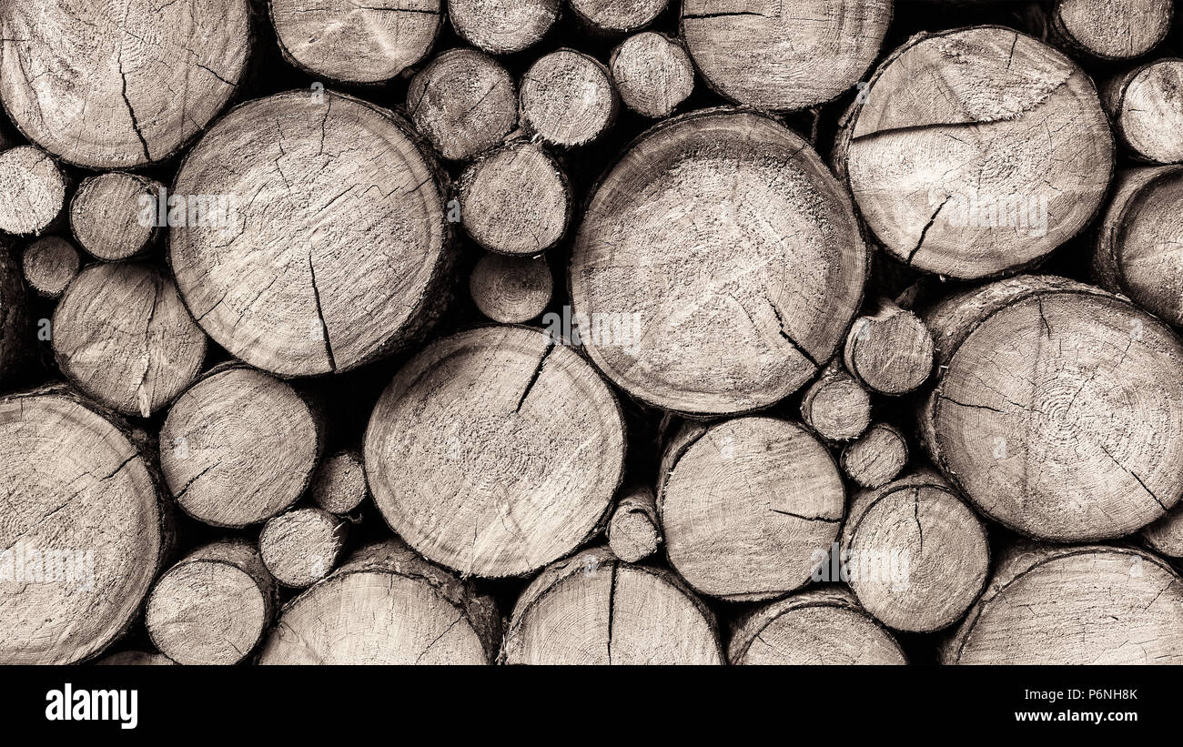 Timber lumber log bark cut wood environment pattern abstract hi-res ...