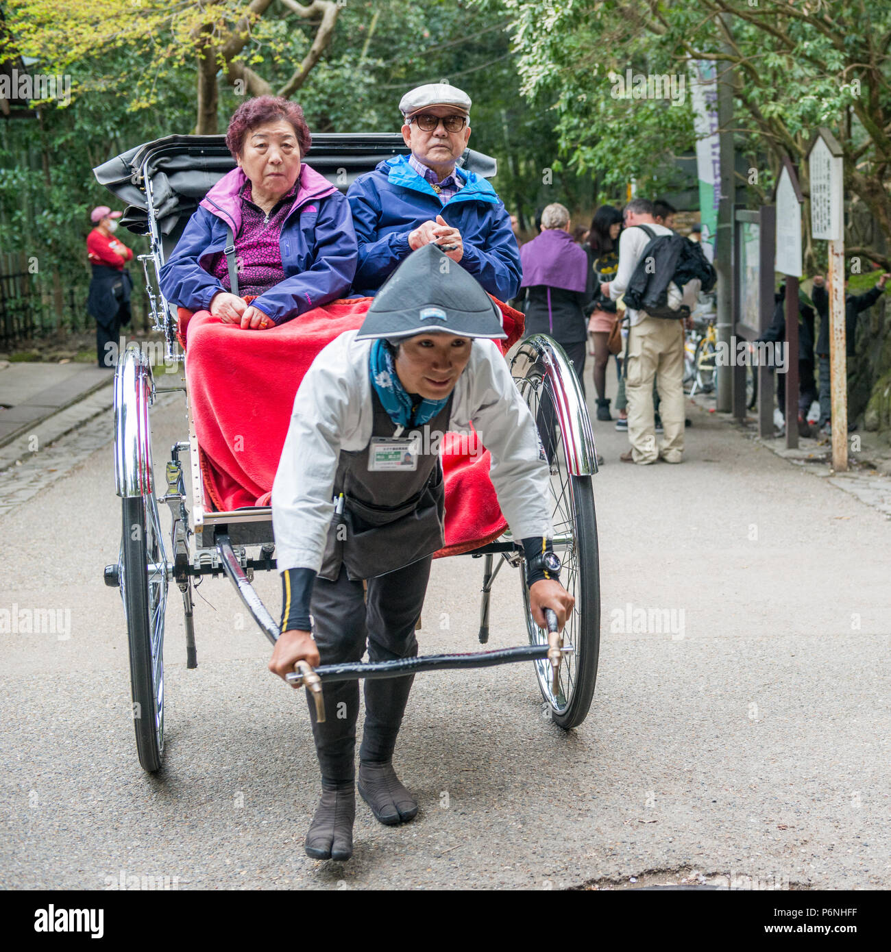 Traditional hand pulled rickshaw in Sagano Bamboo Forest in Arashiyama ...