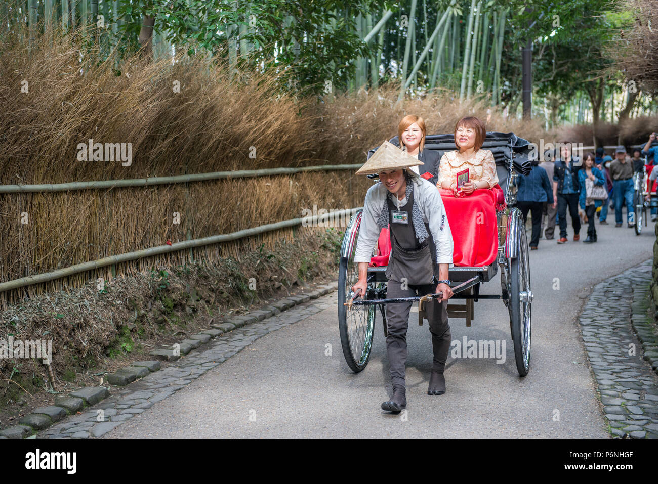 Traditional hand pulled rickshaw in Sagano Bamboo Forest in Arashiyama ...