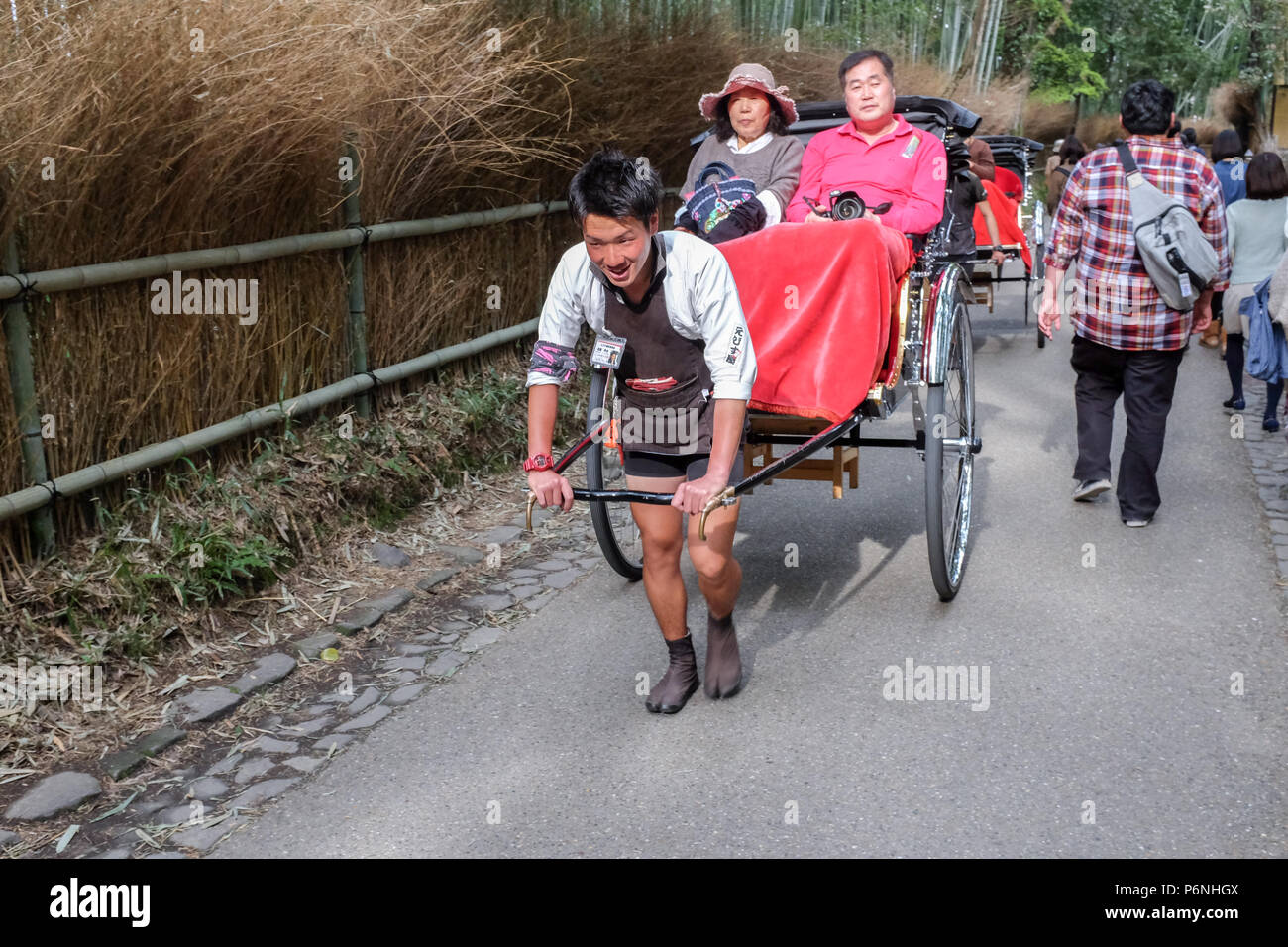 Traditional hand pulled rickshaw in Sagano Bamboo Forest in Arashiyama ...