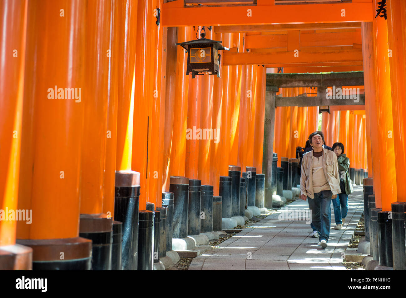10000 shrine gates hi-res stock photography and images - Alamy