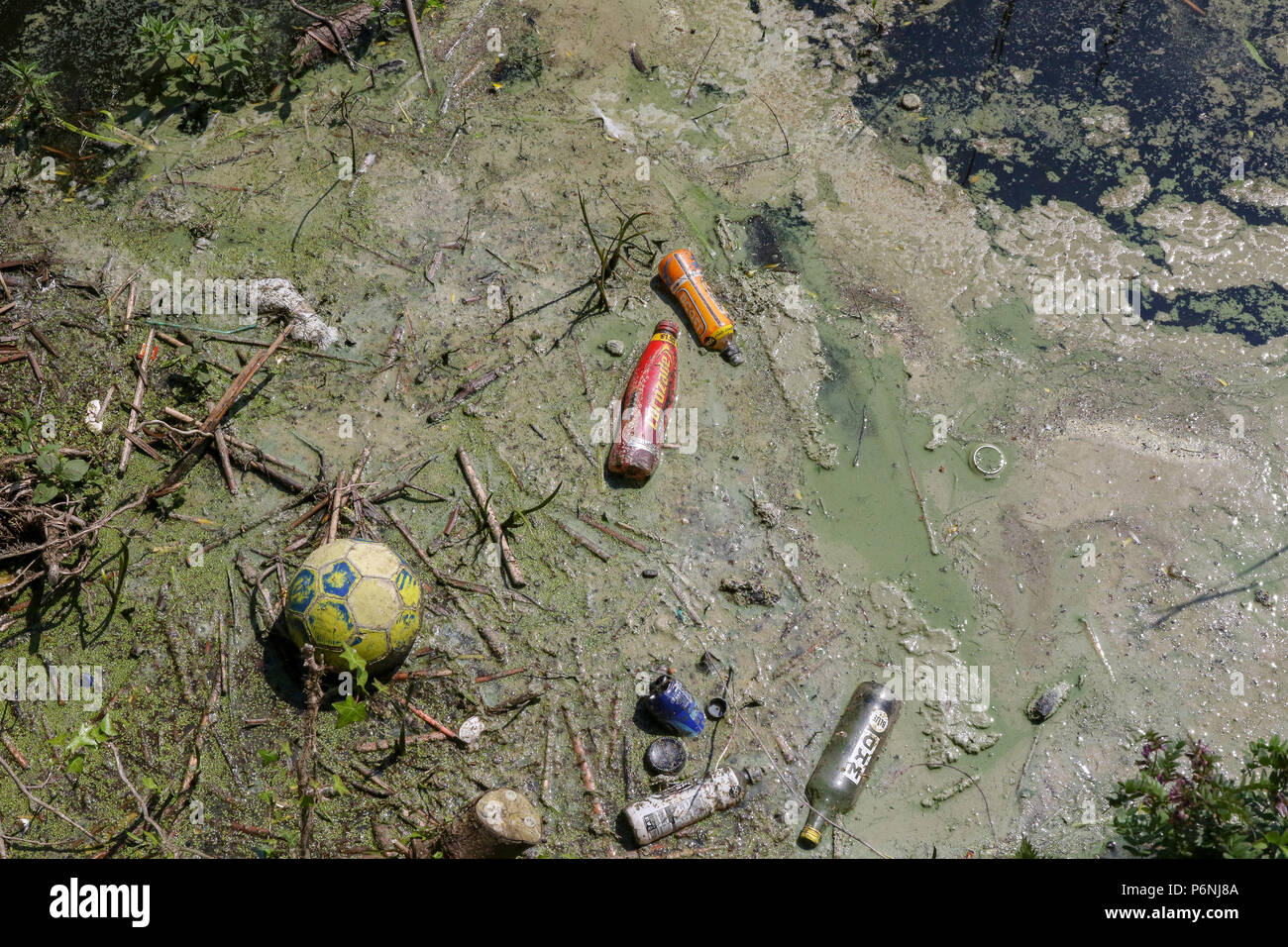 Freshwater pollution with plastic bottles and other items floating in a ...