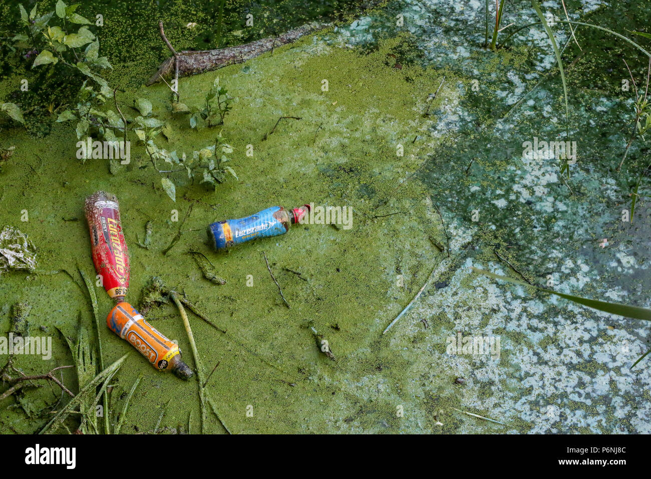 Harmful algal bloom hi-res stock photography and images - Alamy