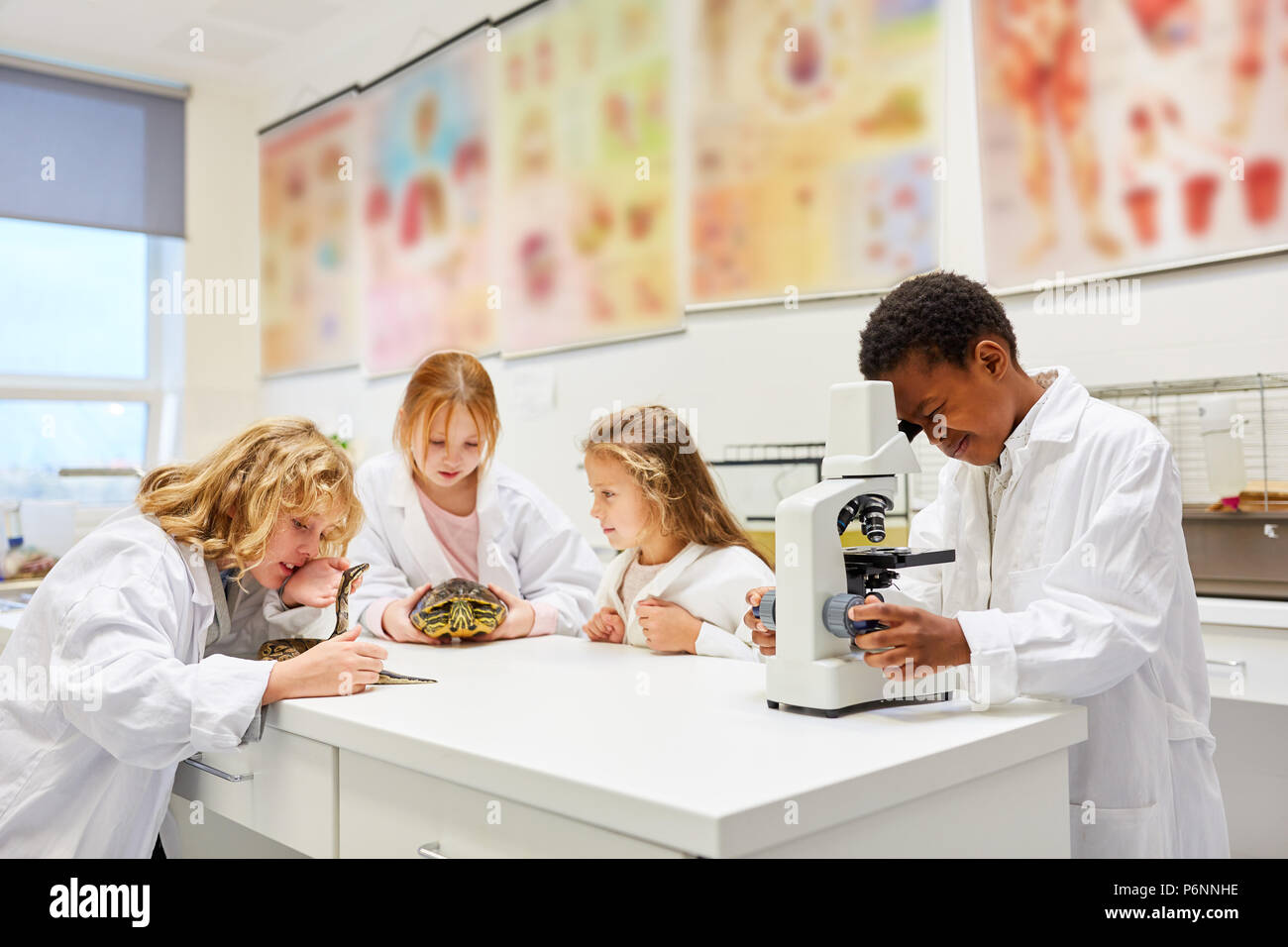 Children of biology class are working with animals and a microscope in ...