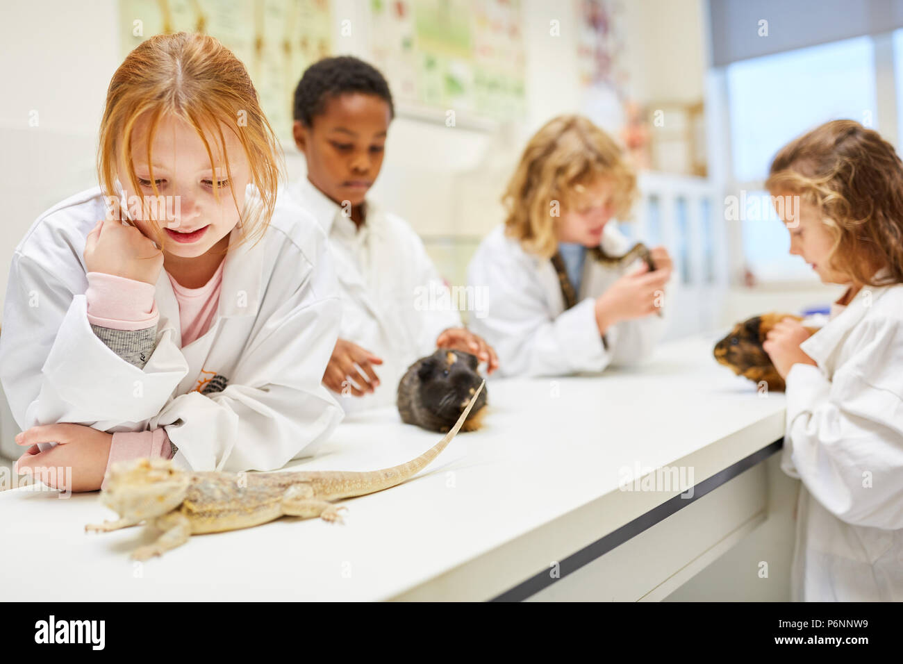 Group of pupils in biology study lessons and explore animals in the ...