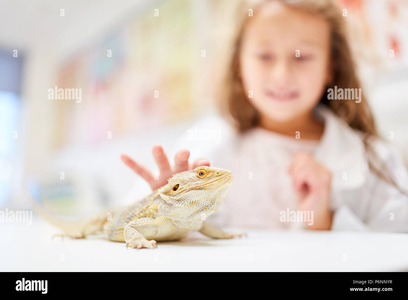 Elementary school biology class hi-res stock photography and images - Alamy