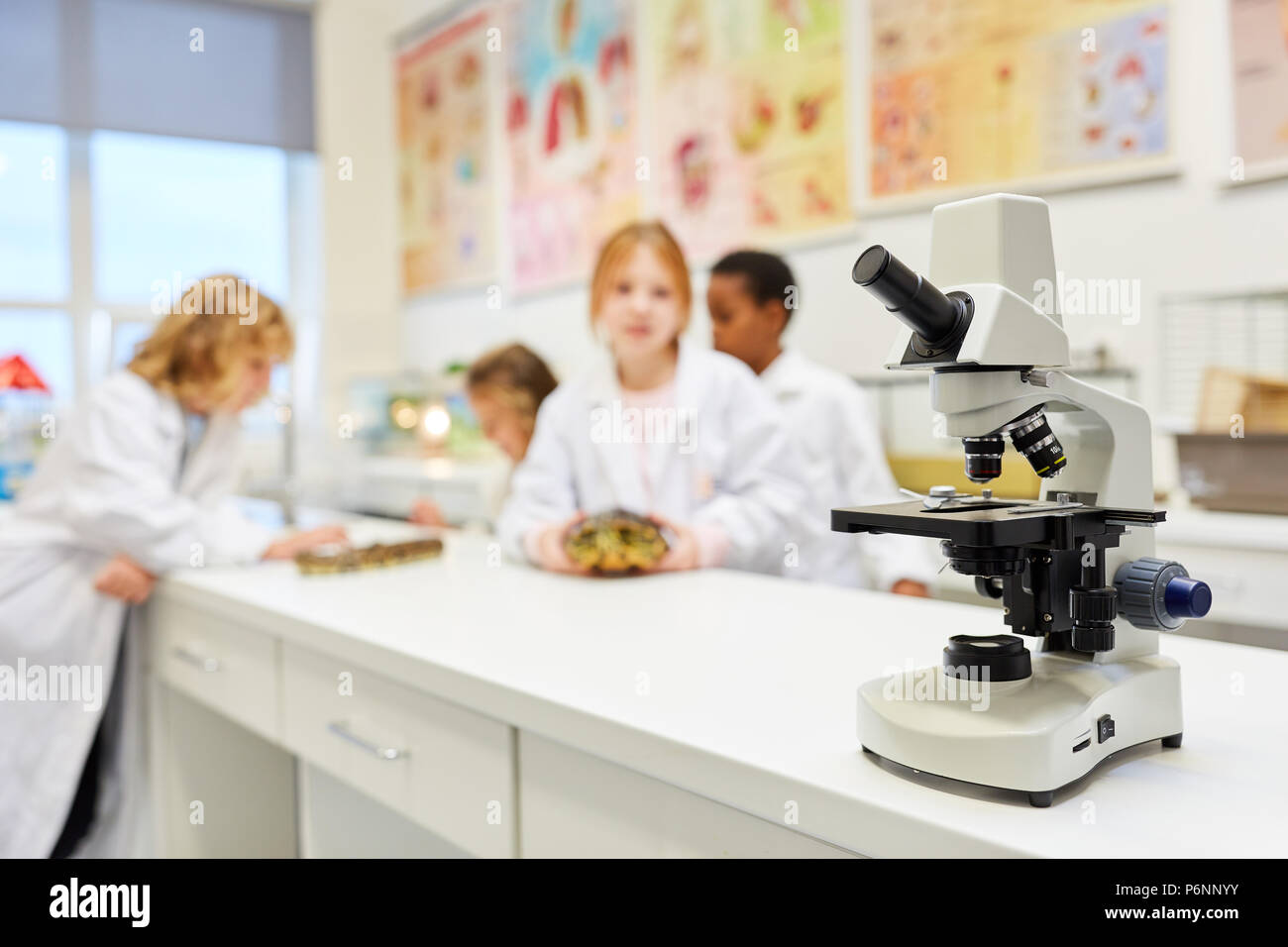 Microscope in primary school lab with pupils of biology class in the ...