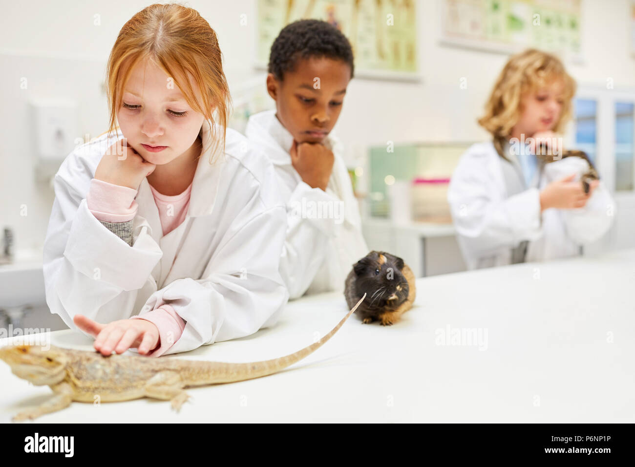 Explore science experiment hi-res stock photography and images - Alamy