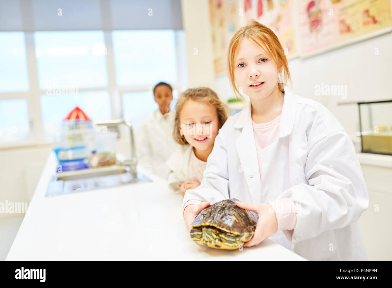 Girl as a pupil with a turtle in primary school biology lab Stock Photo ...