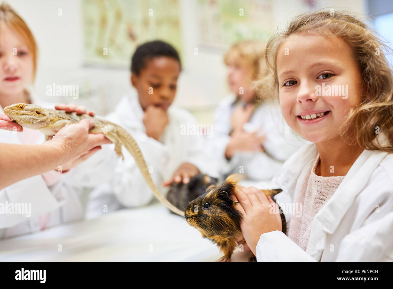 Research on wild animals hi-res stock photography and images - Alamy