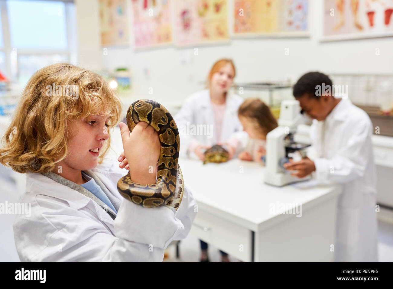 Child holding snake hi-res stock photography and images - Alamy