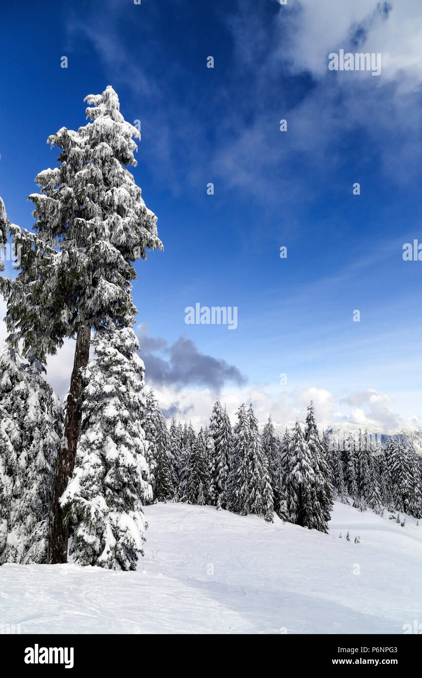 Snow mount seymour hi-res stock photography and images - Alamy