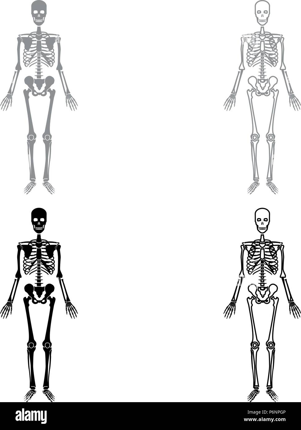 Human skeleton icon set grey black color I flat style simple image ...