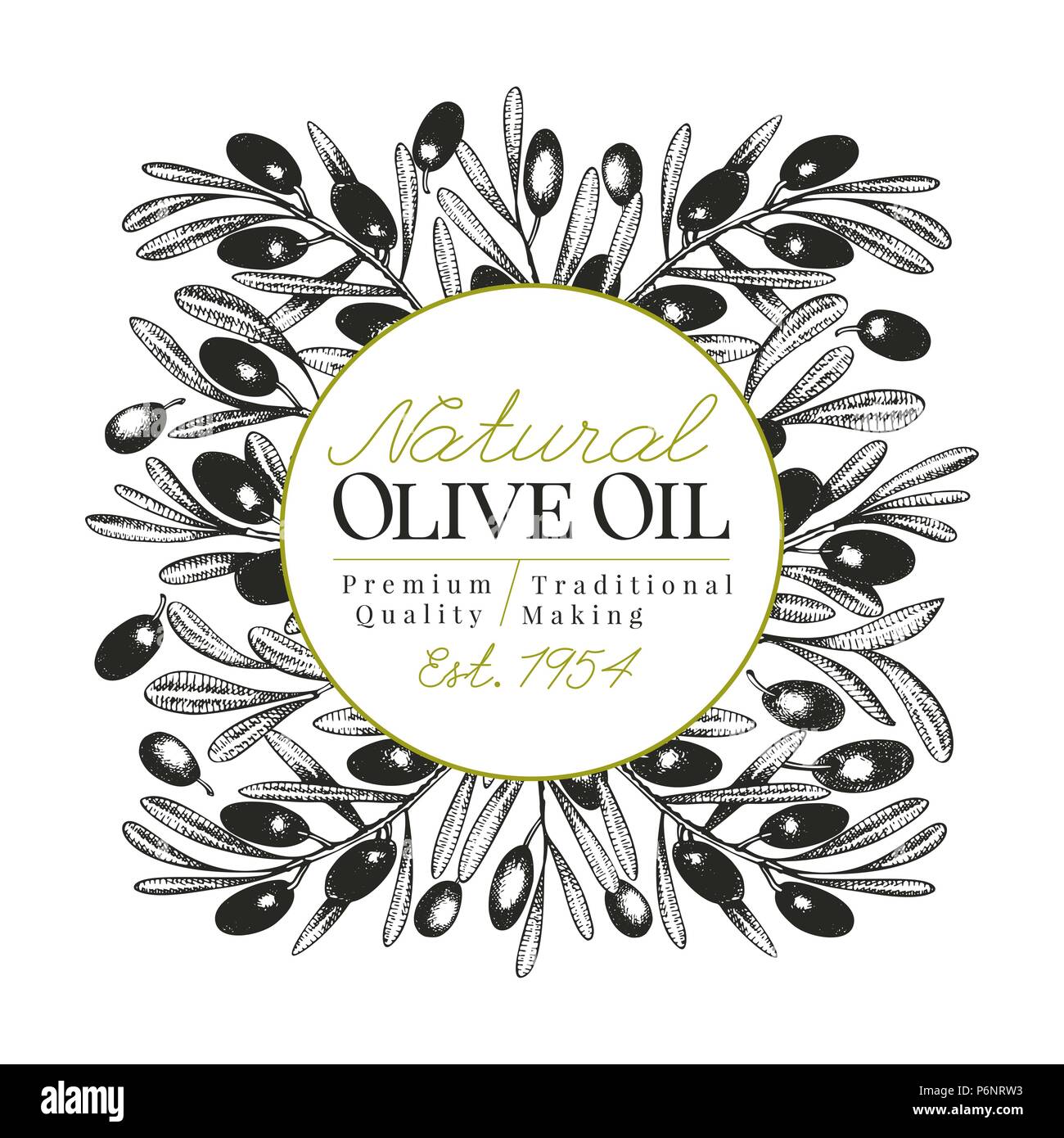 Olive tree banner template. Vector retro illustration. Hand drawn ...