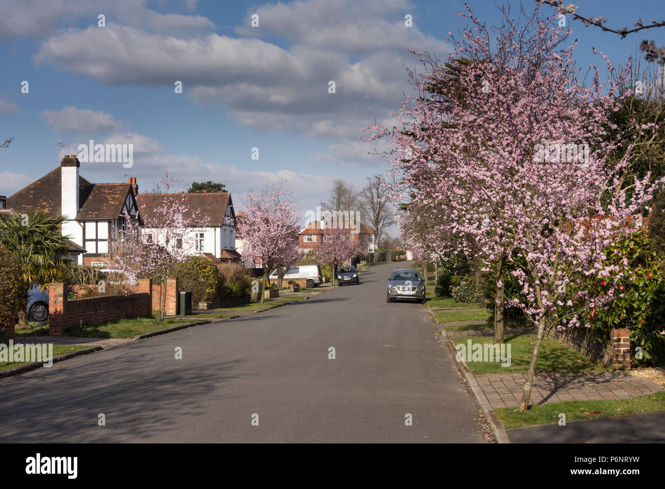 Private road hi-res stock photography and images - Alamy