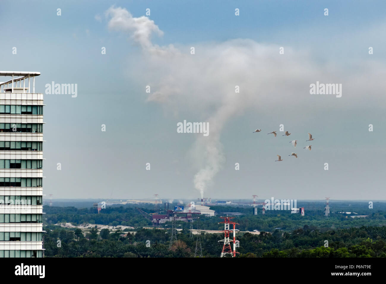 Jungle pollution hi-res stock photography and images - Alamy