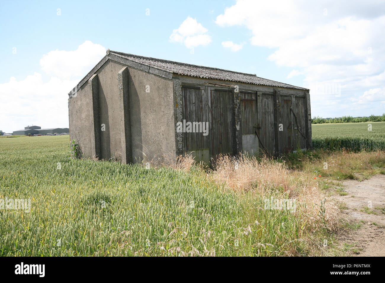 Raf Dalton High Resolution Stock Photography and Images - Alamy