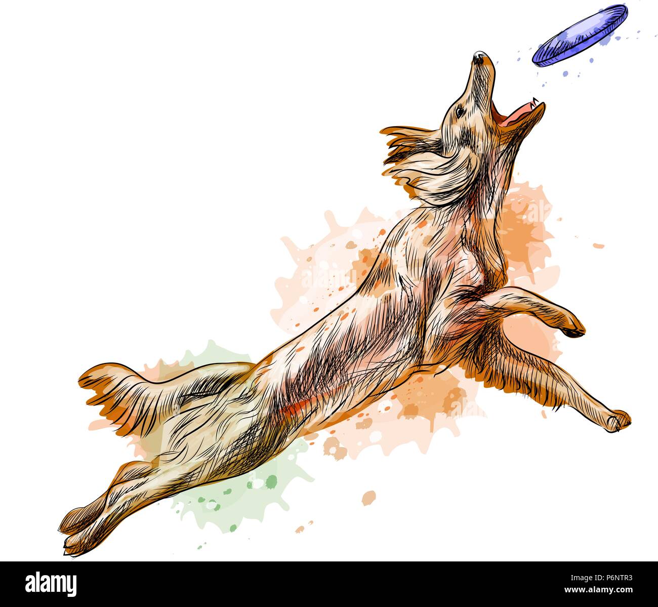 Dog catching frisbee Stock Vector Images - Alamy