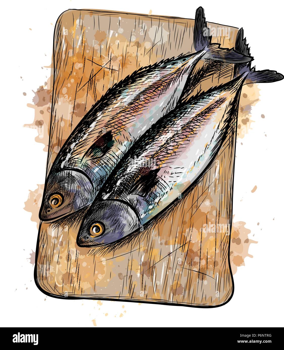 Isolated raw whole fish Stock Vector Images - Alamy