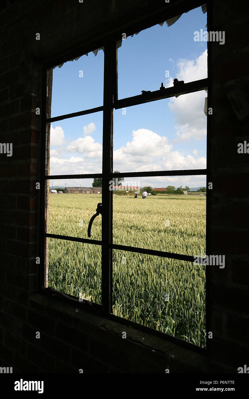 Royal Dalton High Resolution Stock Photography and Images - Alamy