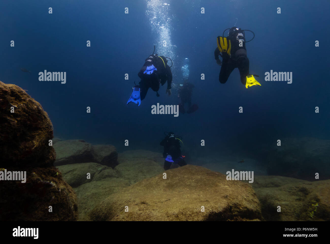 Divers swims in deep blue ocean water Stock Photo - Alamy