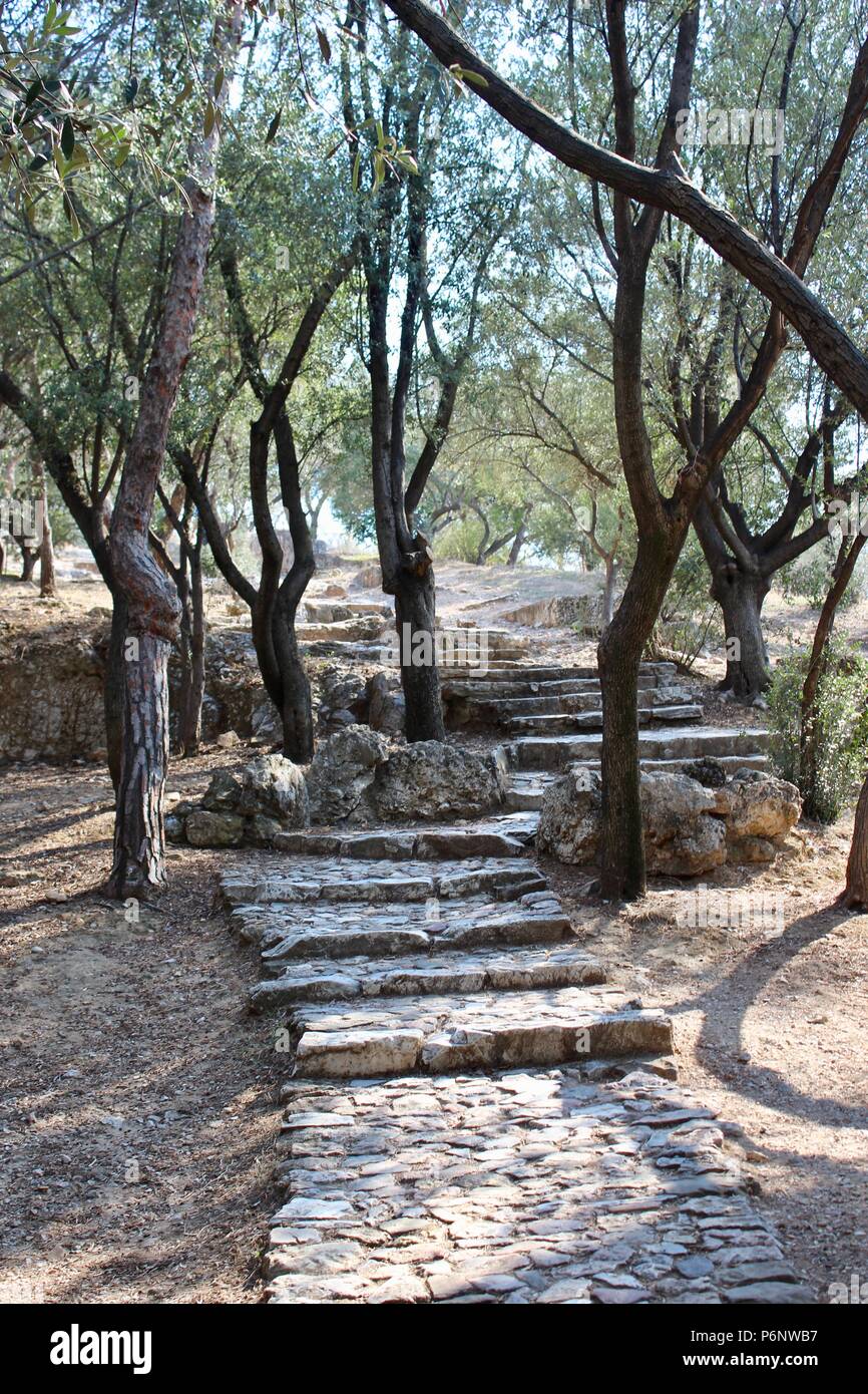 stepped pathway up to acropolis parthenon athens greece Stock Photo - Alamy