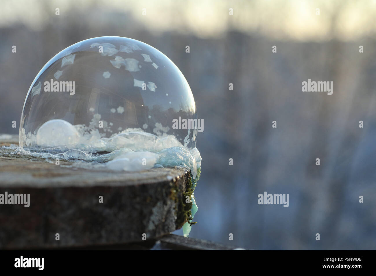 Soap bubbles freeze in the cold. Winter soapy water freezes in air ...